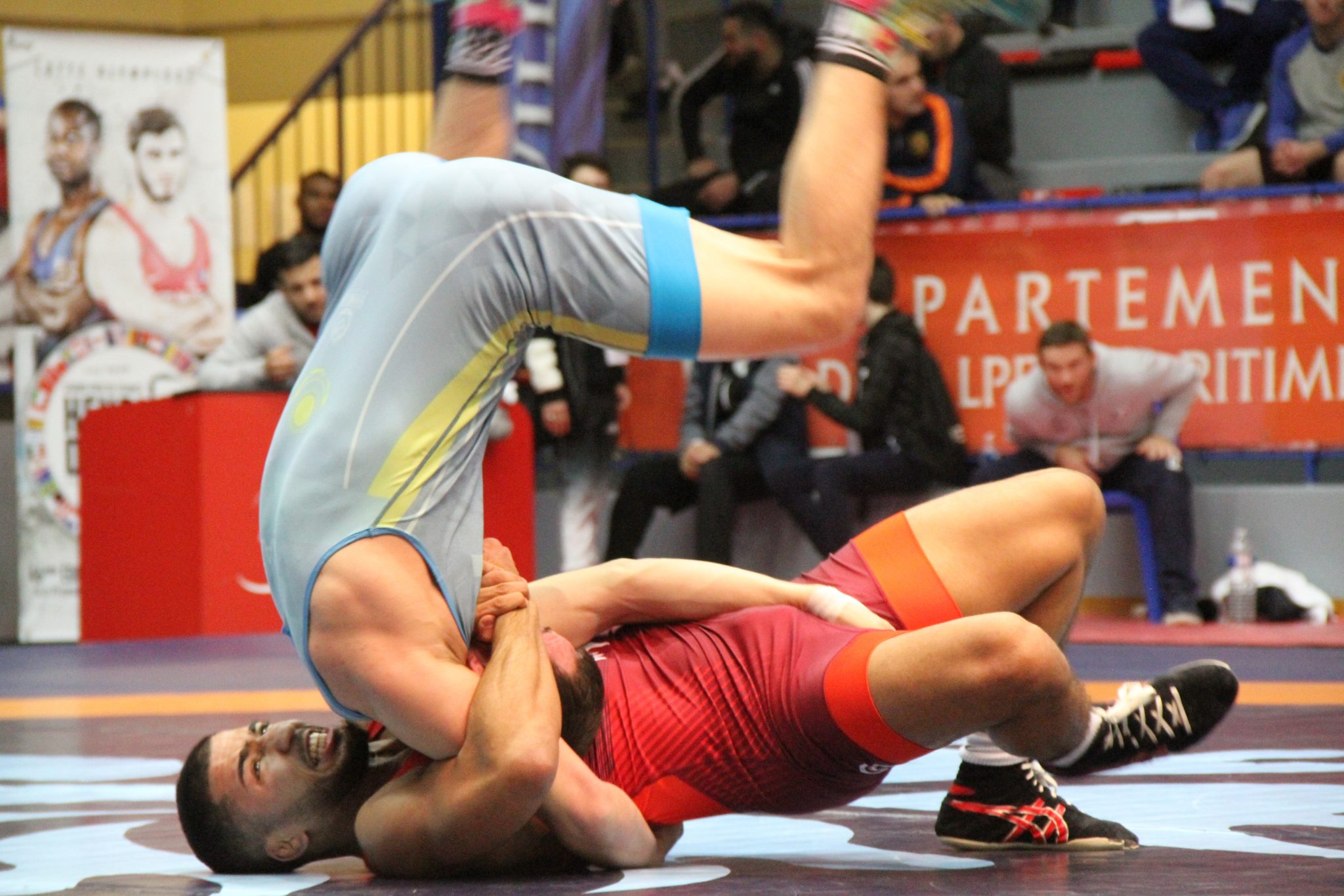 Fédération Française de Lutte et Disciplines Associées (FFLDA)