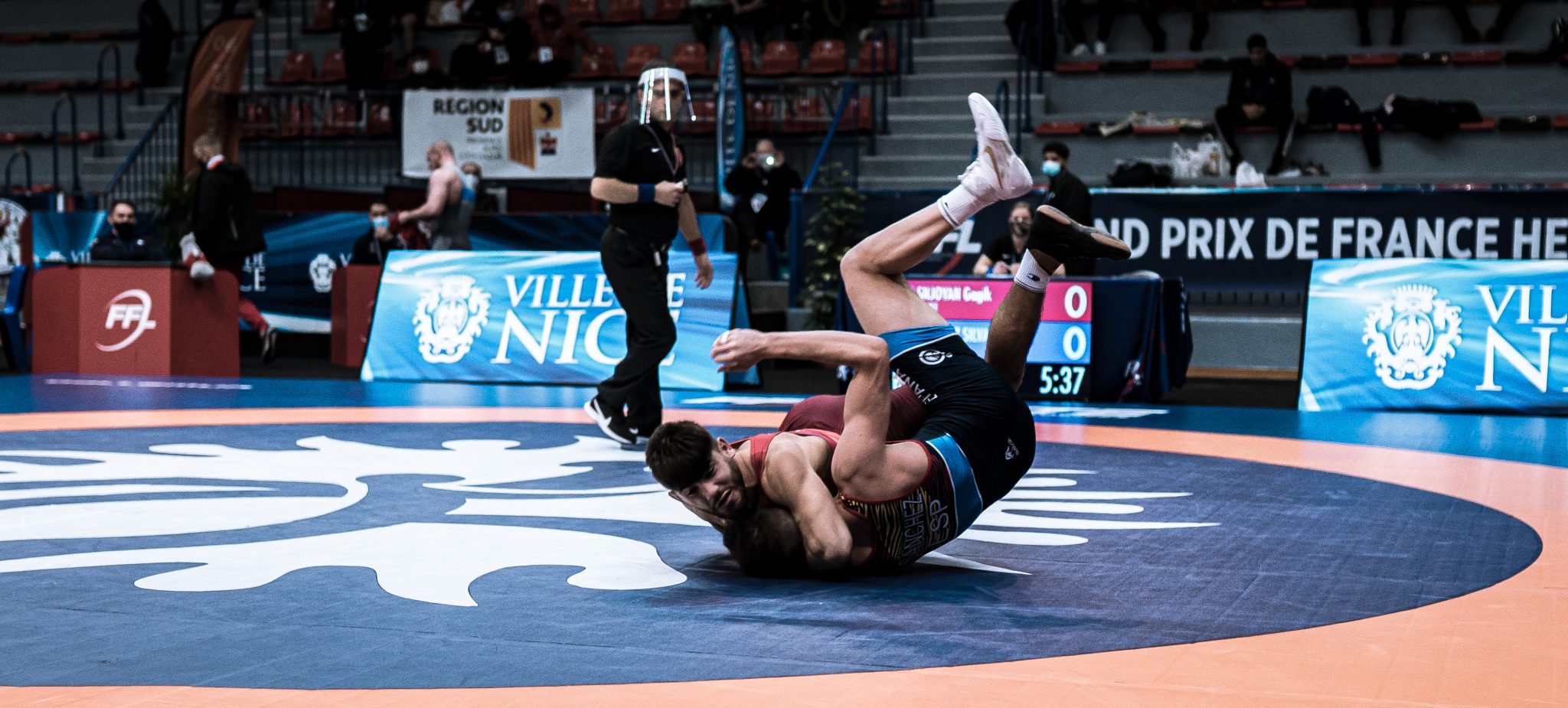 Fédération Française de Lutte et Disciplines Associées (FFLDA)