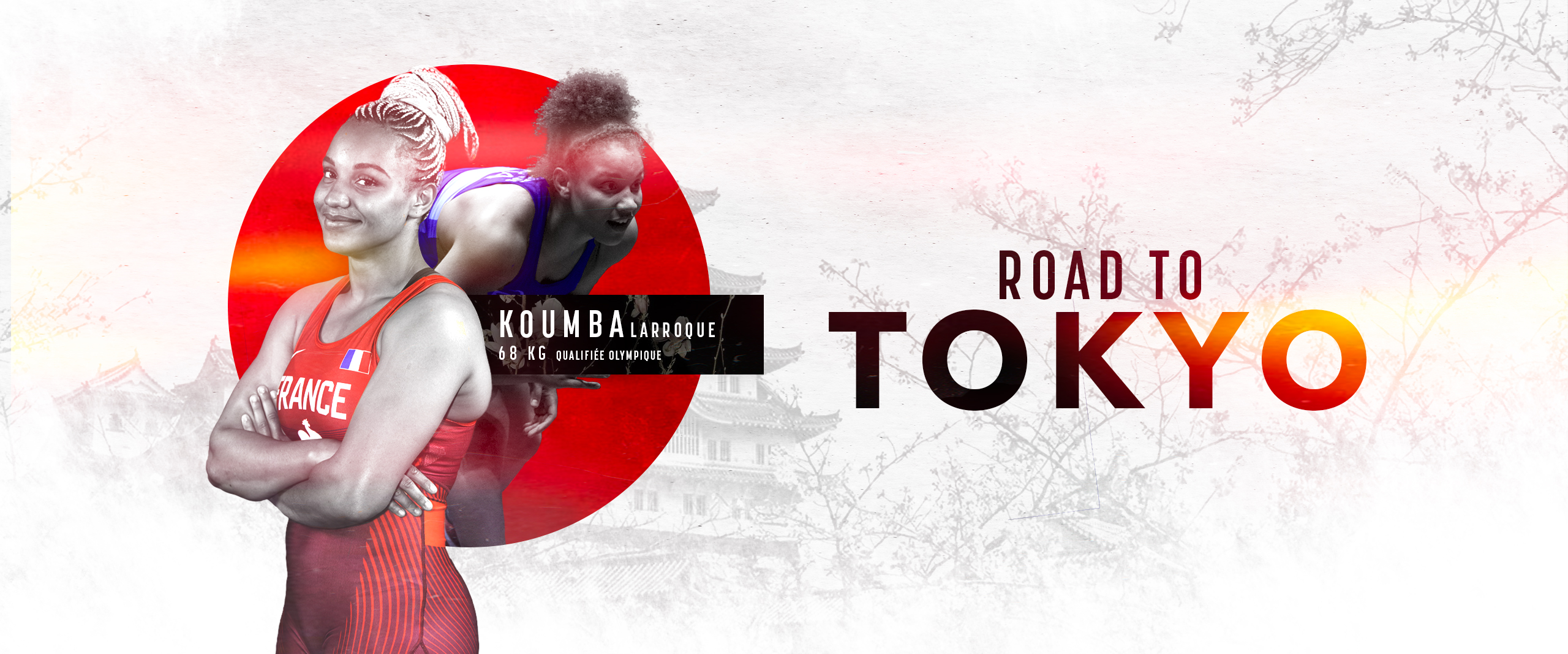 Fédération Française de Lutte et Disciplines Associées (FFLDA)